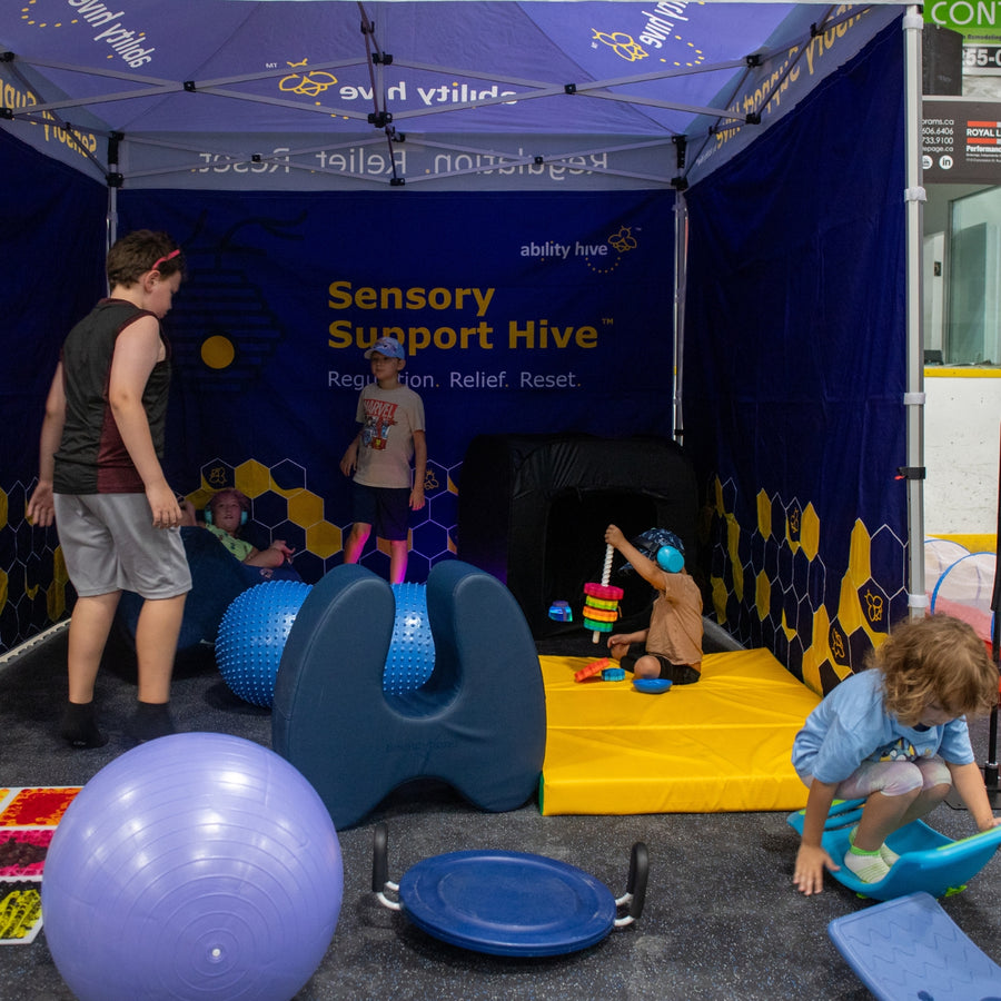 Sensory Room Equipment – Ability Hive